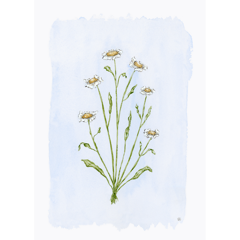 Art Prints – Victoria Wilson Studio